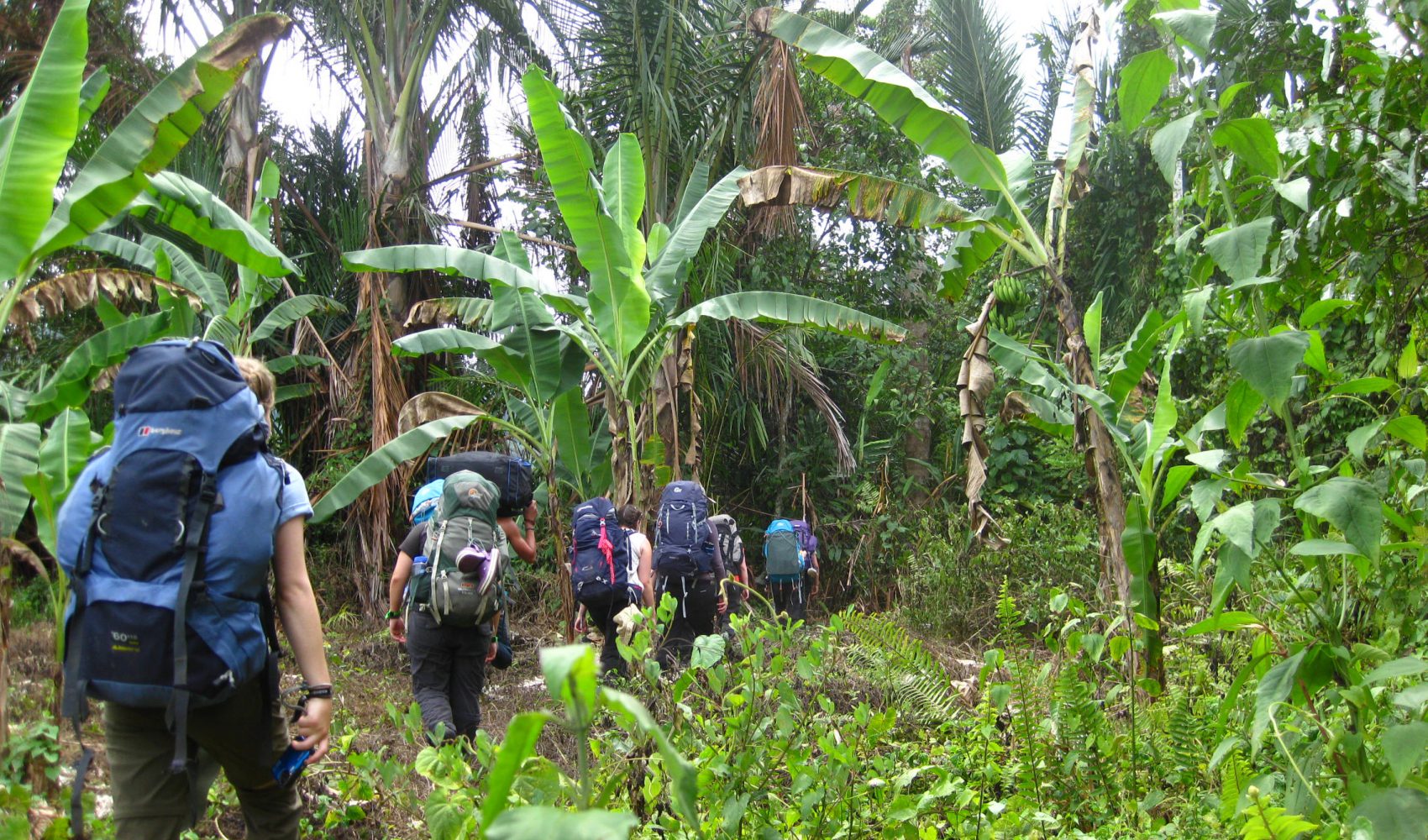 Borneo Trek Expedition | Camps International