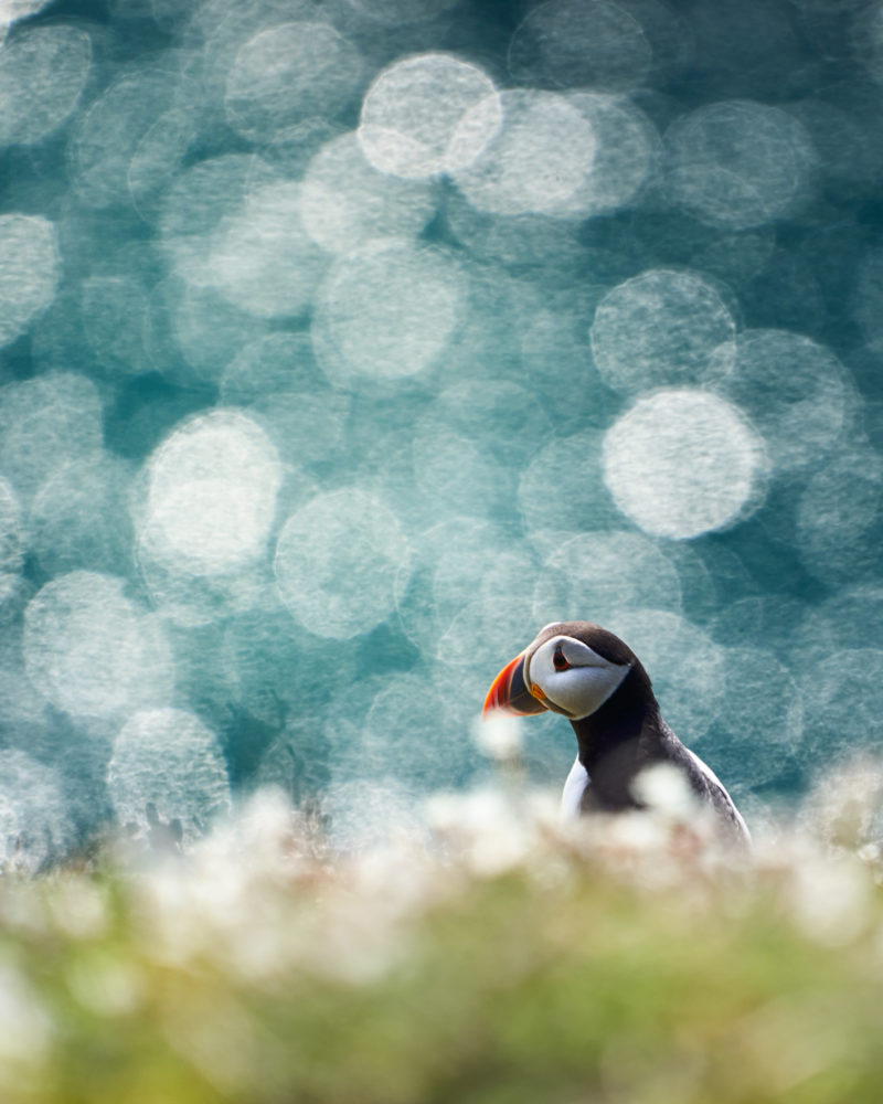 Easy Photography Technique for Beginners