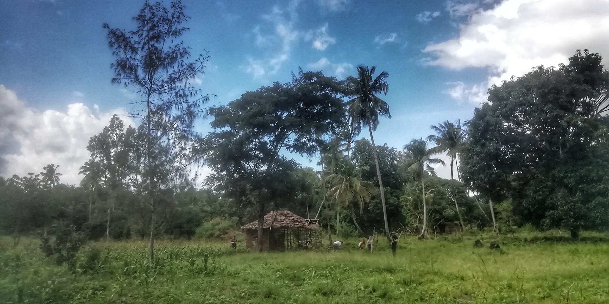 Jambo, Jambo, Bwana in Kenya | Camps International